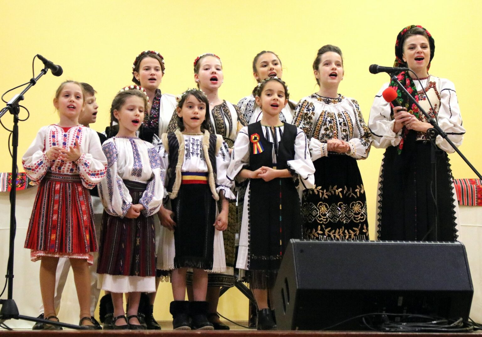 Primaria Selimbar - Pagina oficiala